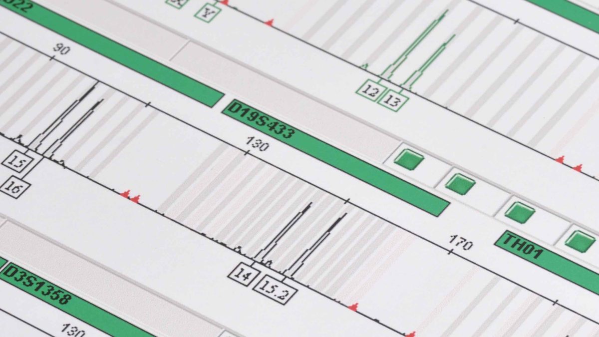 Fragment Analysis Services | Diagnostic Laboratory Services, Inc.